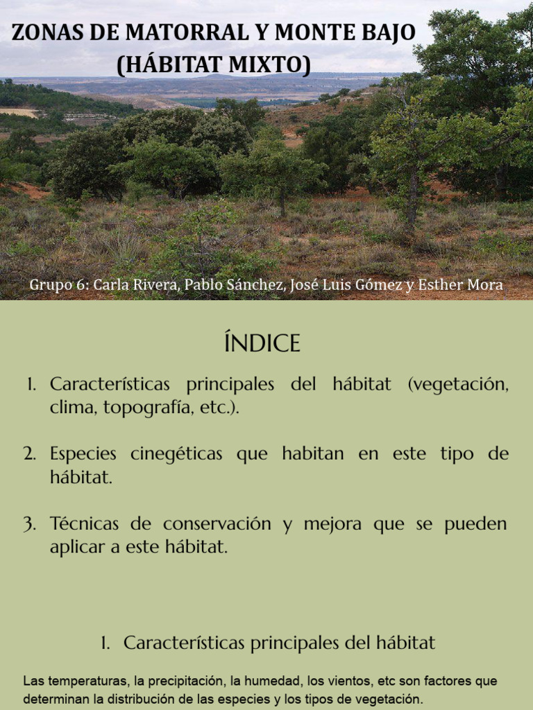 Zonas de Matorral y Monte Bajo | PDF | Clima | Precipitación
