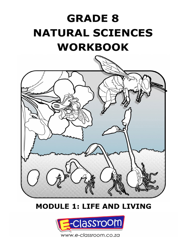 Grade 8 Natural Sciences: Life and Living | PDF | Photosynthesis ...