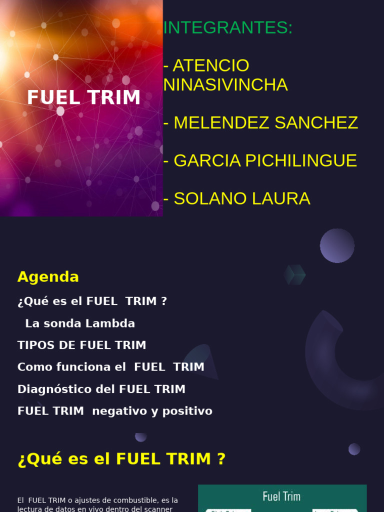 Exposicion Fuel Trim | PDF | Inyección de combustible | Tecnología energética