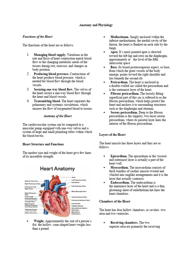 Anatomy and Physiology | PDF | Heart Valve | Heart