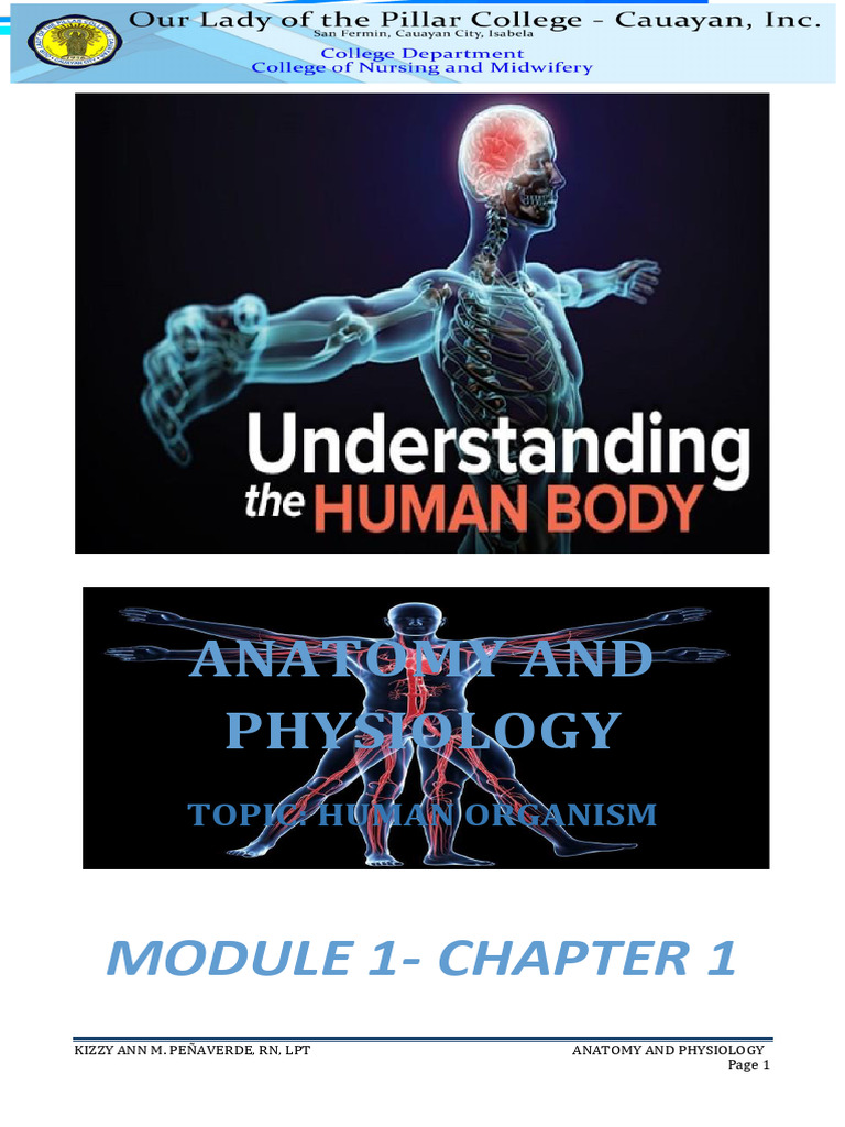 ANATOMY AND PHYSIOLOGY Module 1 3 | PDF | Endoplasmic Reticulum | Cell ...