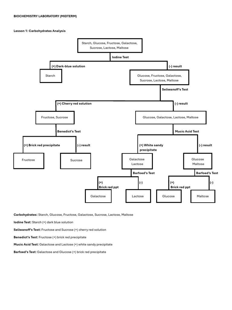 Biochem Lab Midterm | PDF | Detergent | Soap