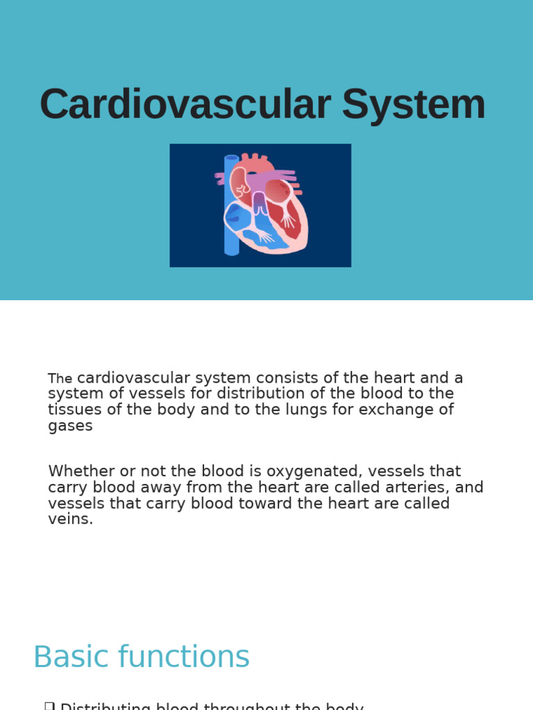Cardiovascular System | PDF | Heart Valve | Heart
