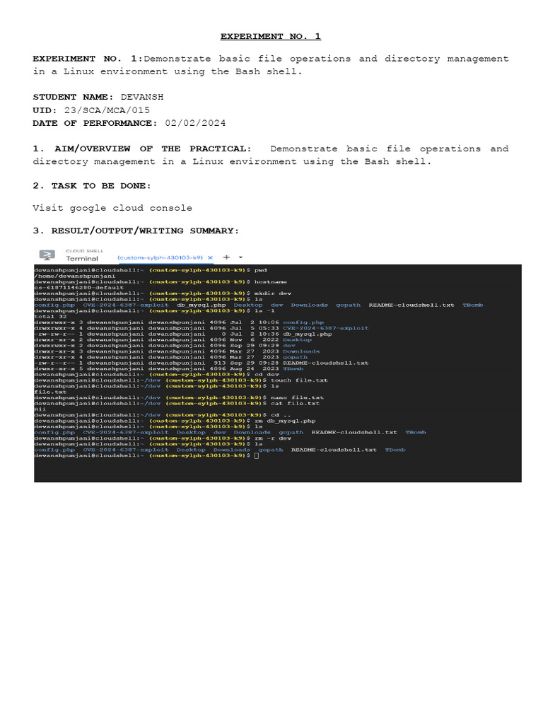 Linux Bash & MongoDB Experiments | PDF