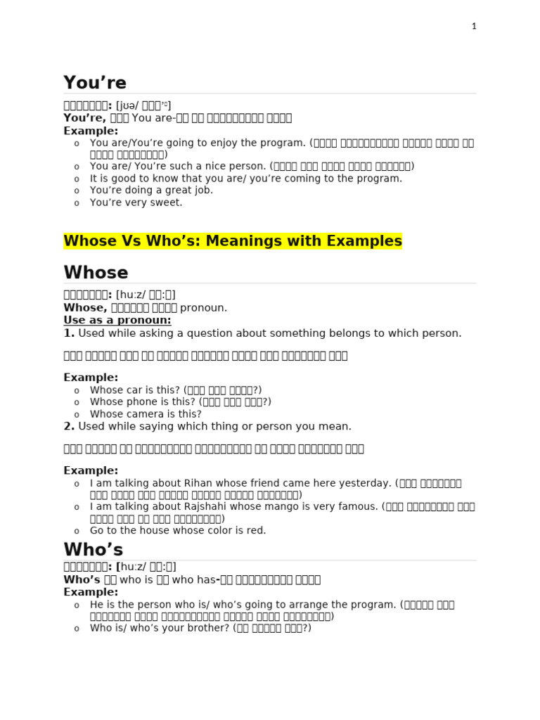 21. Whos, Whose, Your example | PDF