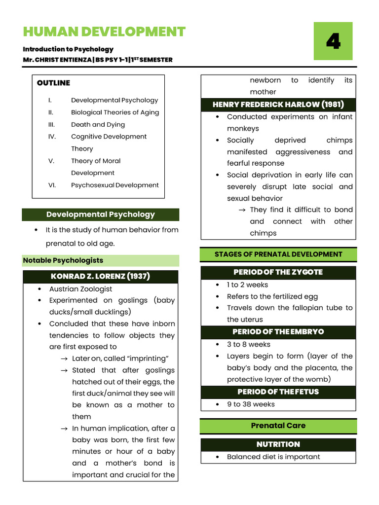 ITP - Lesson 4 - Human Development | PDF