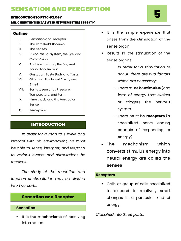 Engaging Visual Patterns | PDF