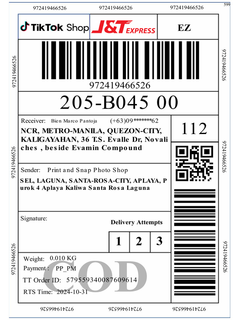 COD Delivery Orders Summary | PDF