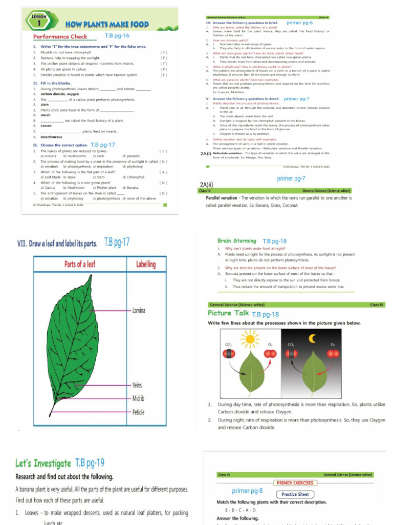 4th Science Le-1, T.B & Primer Notes | PDF