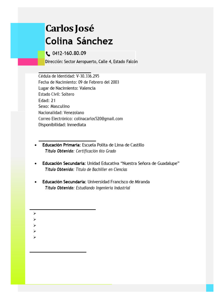 Carlos Curriculum Actualizado 2025 | PDF