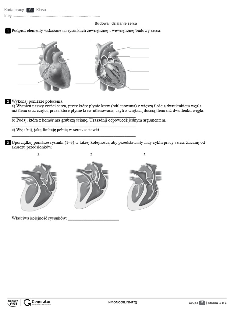 Budowa I Działanie Serca Karta Pracy | PDF
