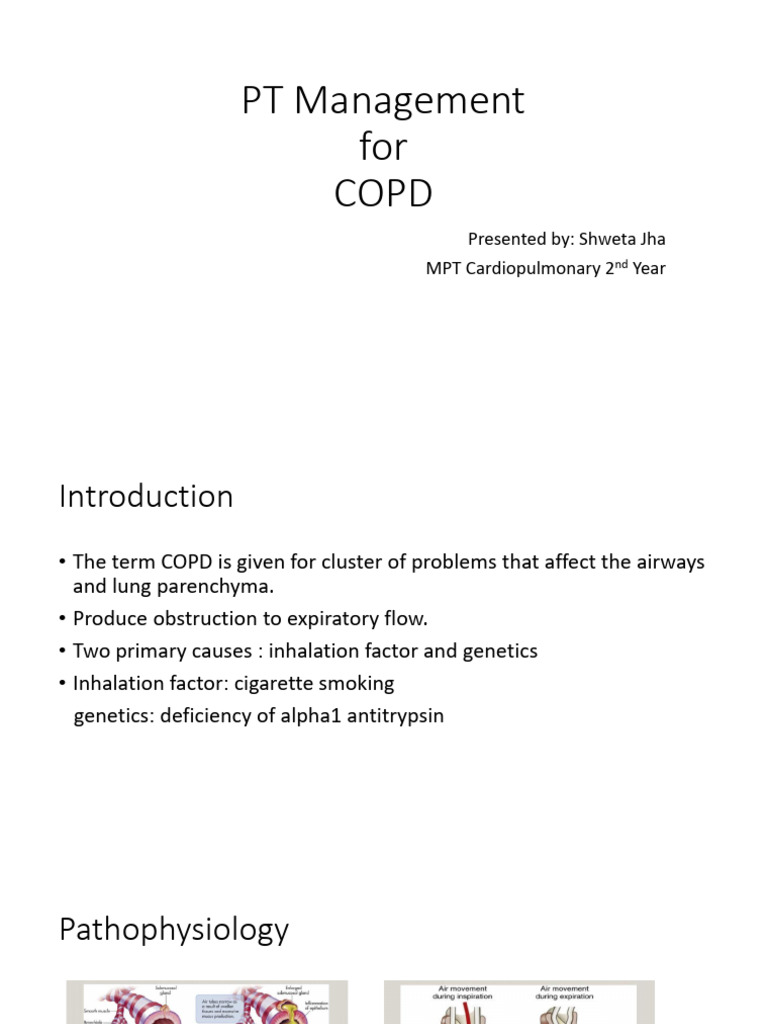 COPD PT Management | PDF | Chronic Obstructive Pulmonary Disease ...