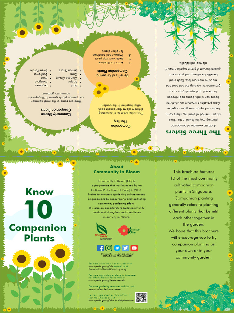 Companion Plants Brochure 230601 131345 | PDF | Tomato | Horticulture