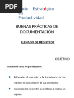 Guía para El Llenado de Formatos | PDF