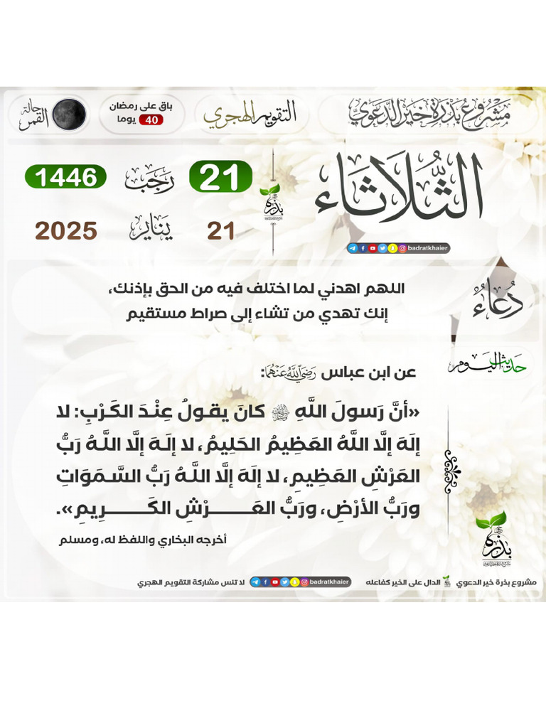 ACE Scanner_2025_01_21 | PDF