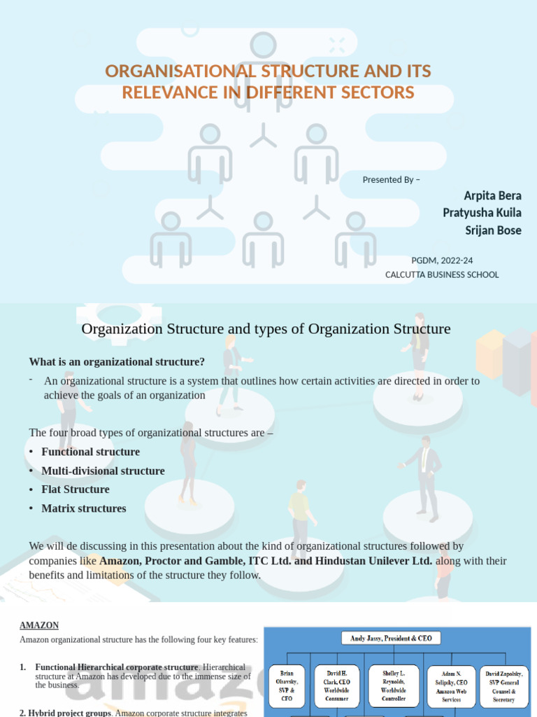MSE Assignment - Variety in Organization Structure | PDF | Organizational Structure | Marketing