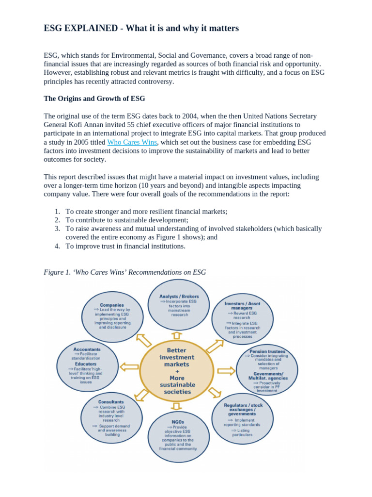 Esg Explained | PDF | Sustainability | Economies