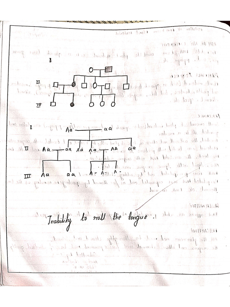 Pedigree Chart of Genetic Trait | PDF