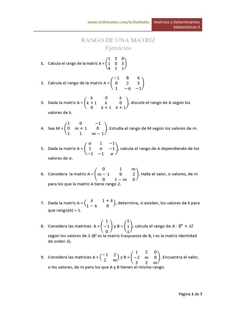 Rango de Una Matriz - Ejercicios | PDF | Determinante | Matriz (Matemáticas)