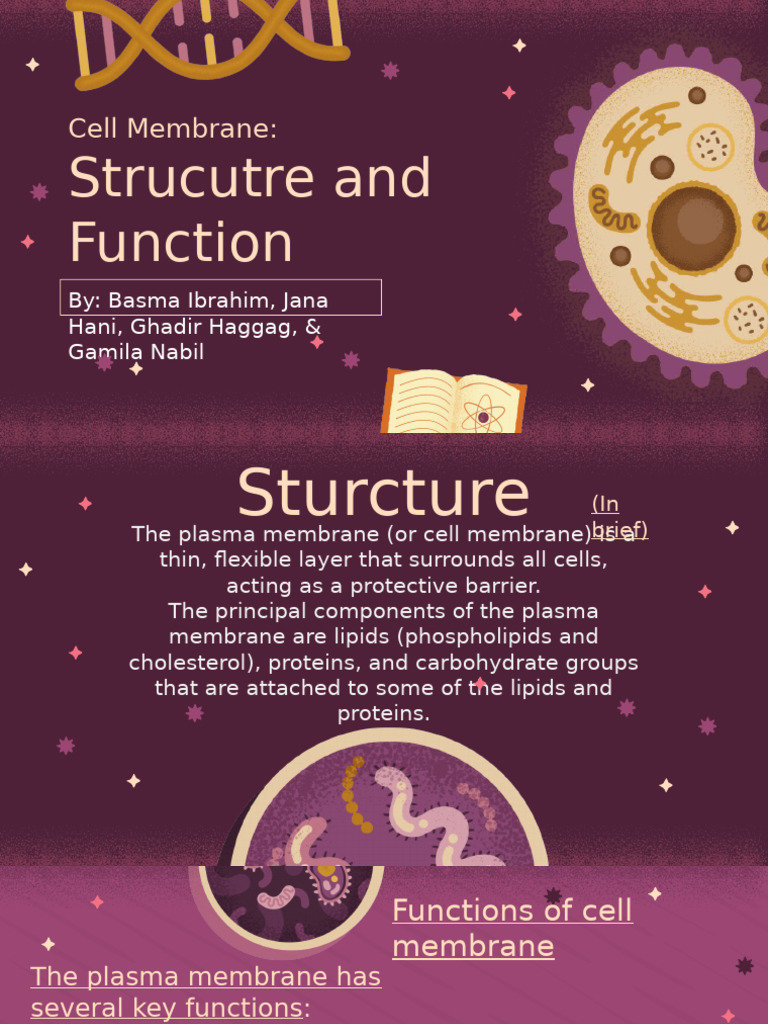 Cell Structure & Function (12B) | PDF | Cell Membrane | Cell Signaling