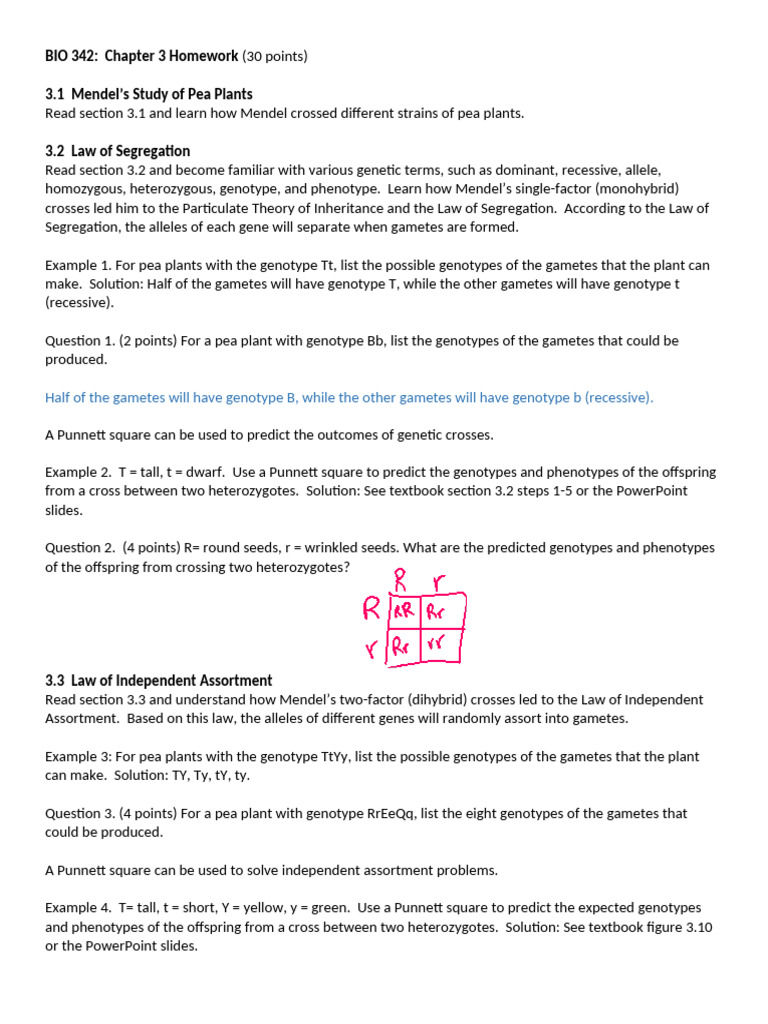 Mendelian Genetics Homework Guide | PDF | Genotype | Dominance (Genetics)