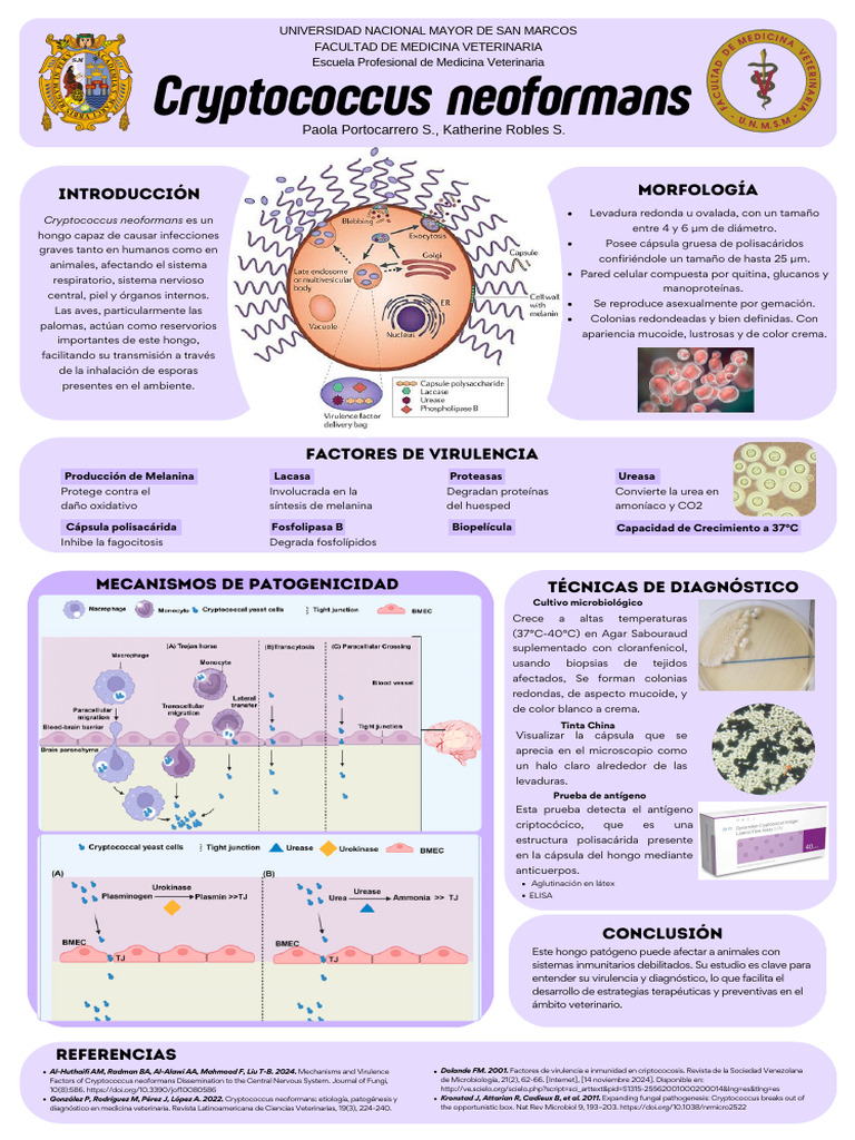 Cryptococcus Neoformans | PDF | Levadura | Biología