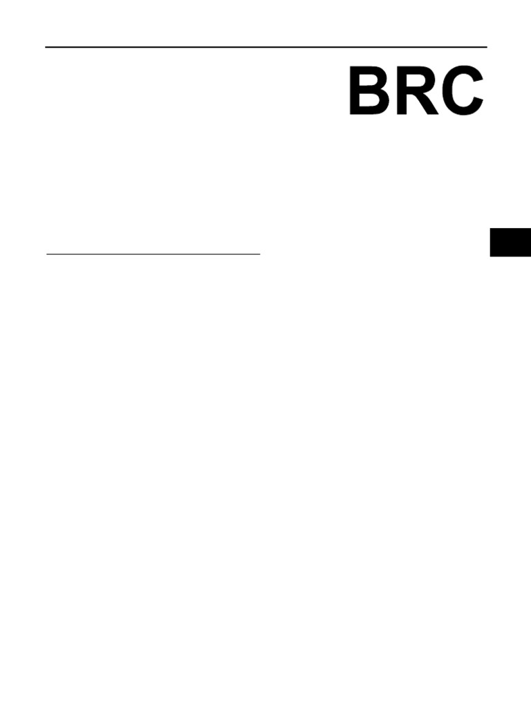BRC | PDF | Anti Lock Braking System | Airbag