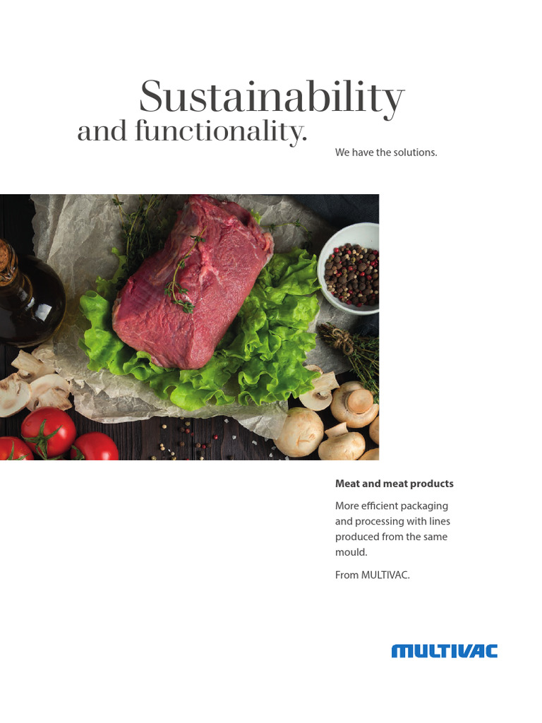 Application Brochure Meat and Meat Products Basic EN | PDF | Packaging ...
