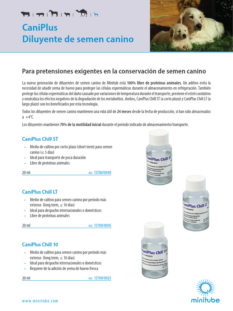 13700-Xxxx Leaflet-Caniplus Es 211126 | PDF | Semen