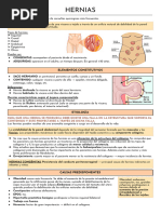 Anatomía de la Región Inguinocrural | PDF | Abdomen | Anatomía