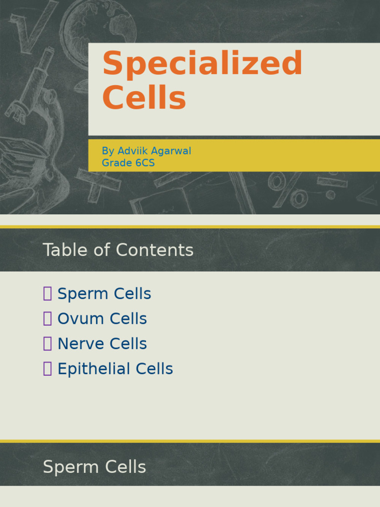 Specialized Cells | PDF