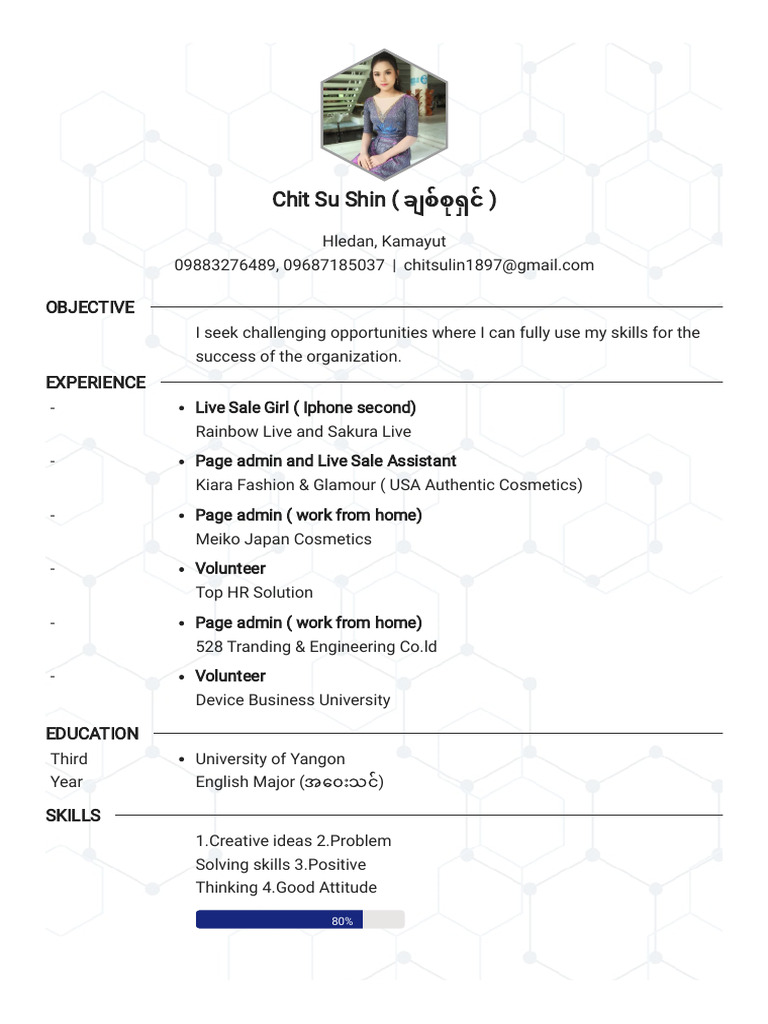 Chit Su Shin - CV | PDF