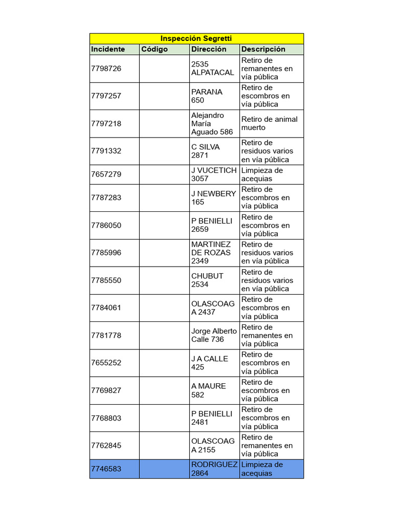 Seguimiento Incidentes - Segretti C. | PDF