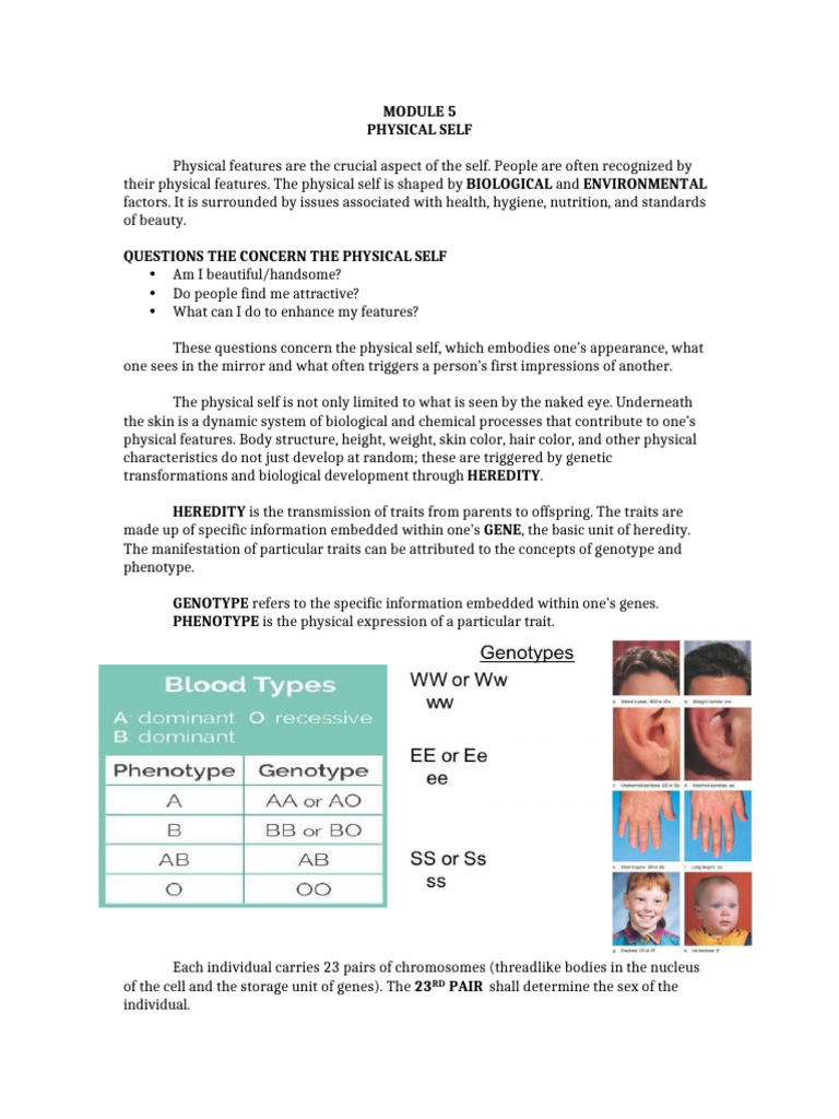 MODULE 4 Physical Self 1 | PDF | Heredity | Genotype