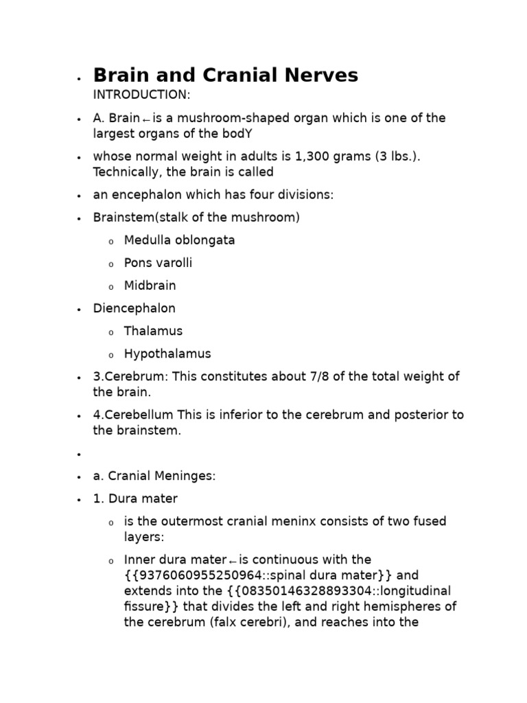 Central and Peripheral Nervous System | PDF | Vertebral Column | Spinal ...