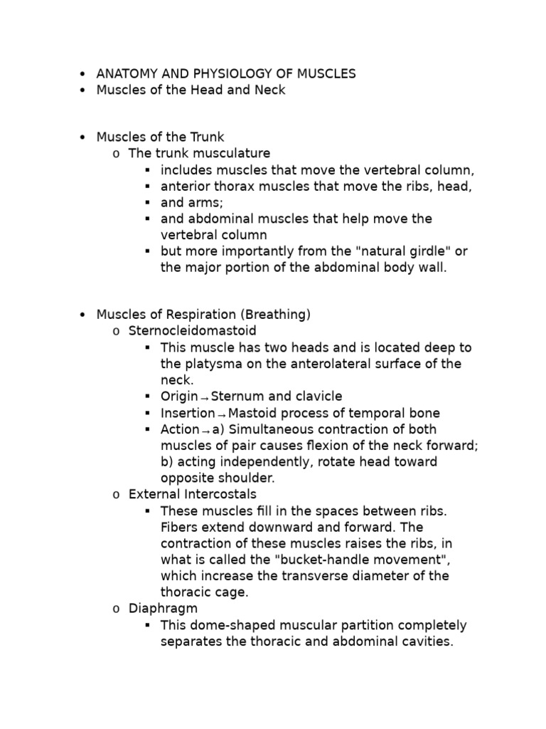 ANATOMY AND PHYSIOLOGY OF MUSCLES | PDF | Human Leg | Abdomen