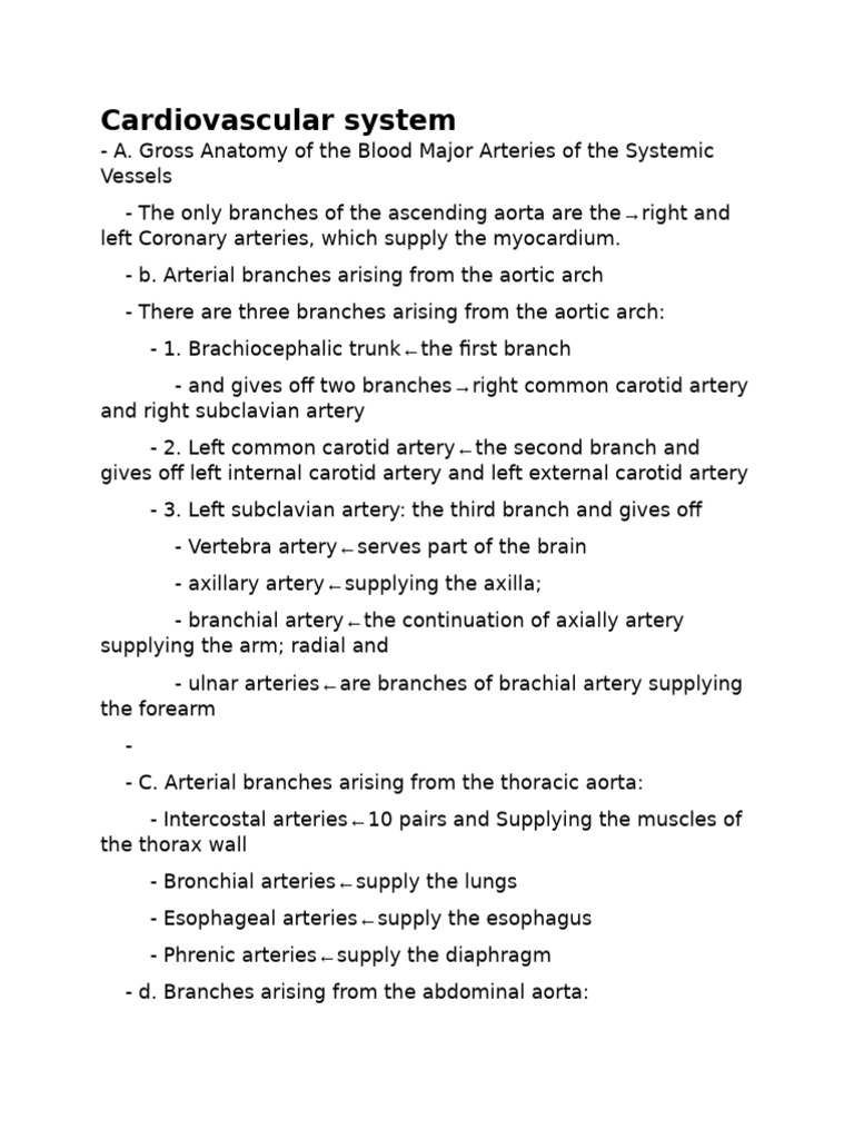 Cardiovascular System Anatomy Overview | PDF | Heart Valve | Vein