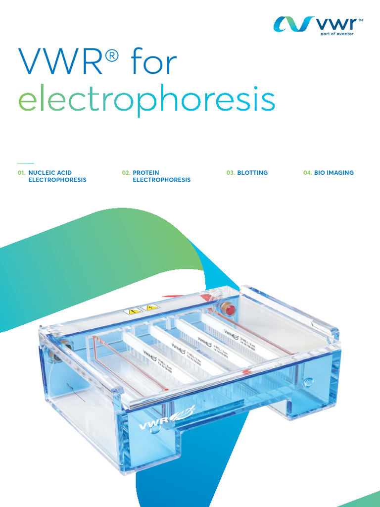 Avantor VWR Electrophoresis | PDF | Gel Electrophoresis | Agarose Gel Electrophoresis