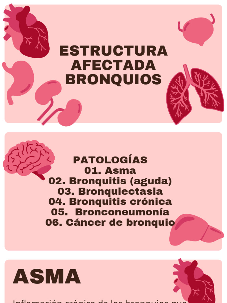 Patologías de los Bronquios: Guía Completa | PDF