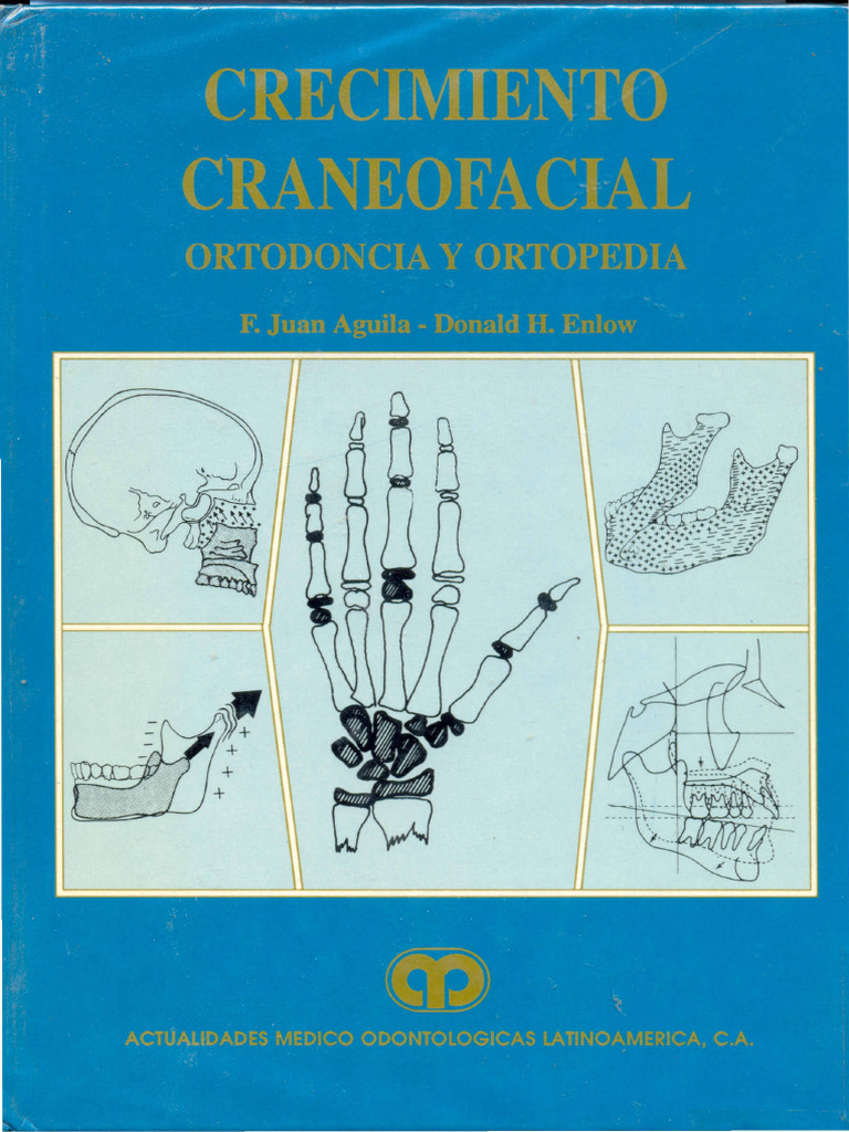 Crecimiento Craneofacial - Enlow | PDF