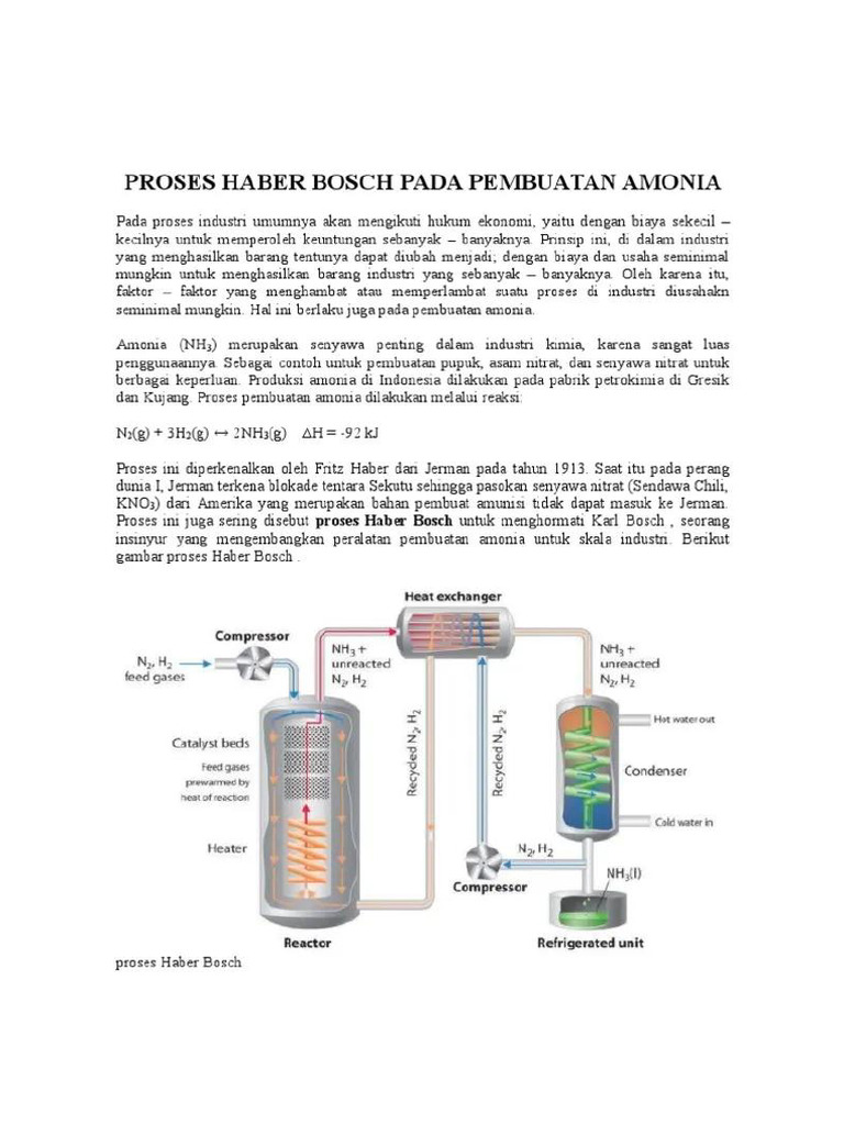 haber bosh | PDF haber bosh | PDF