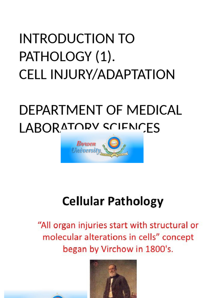 Basic Pathology 2 (1) Cell and Diseases | PDF