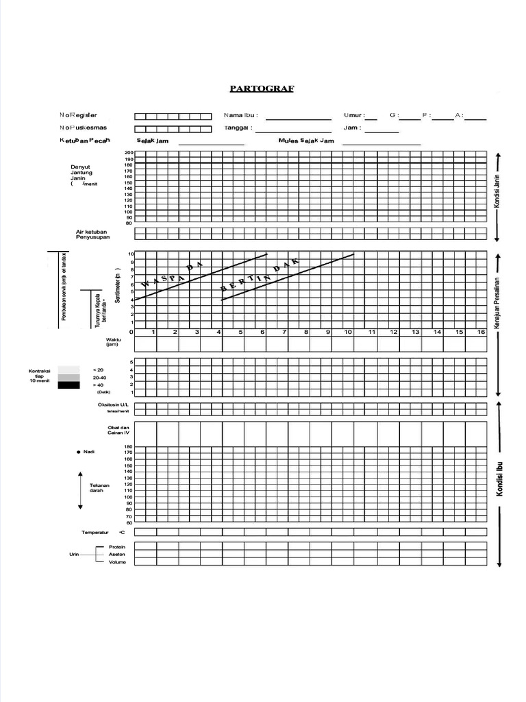 Partograf Data Analysis Guide | PDF