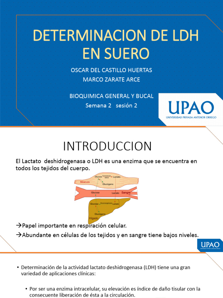 SESION 2 PRACTICA LDH (1) | PDF | Ácido láctico | Sangre