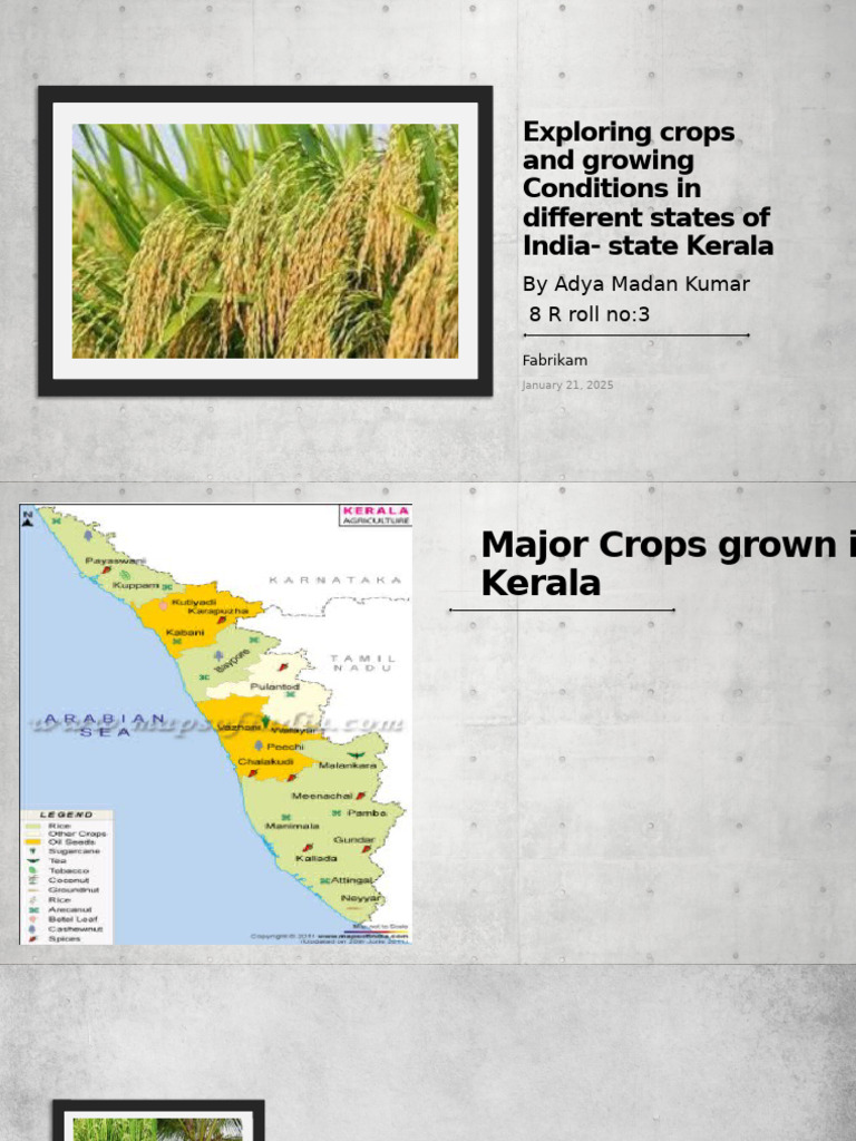 Exploring Crops and Growing Conditions in Different States | PDF | Loam | Coffee