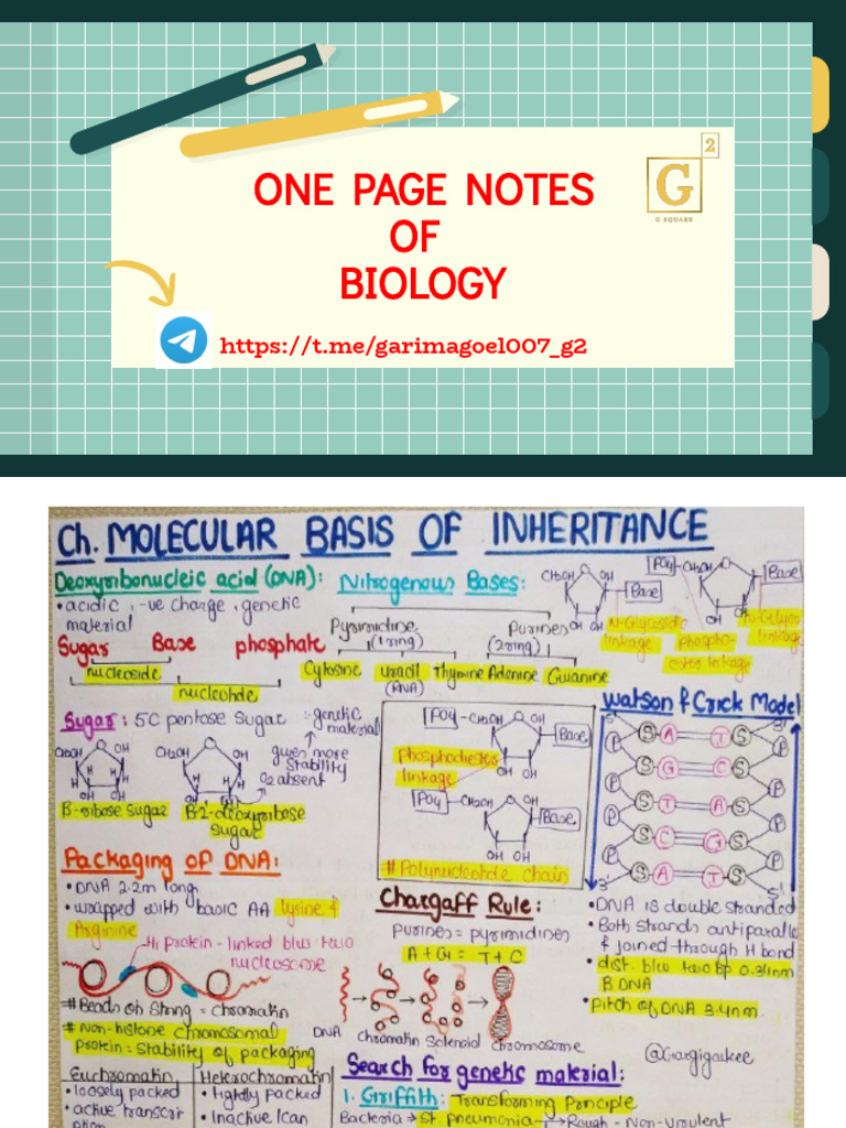 combinepdf (1) | PDF