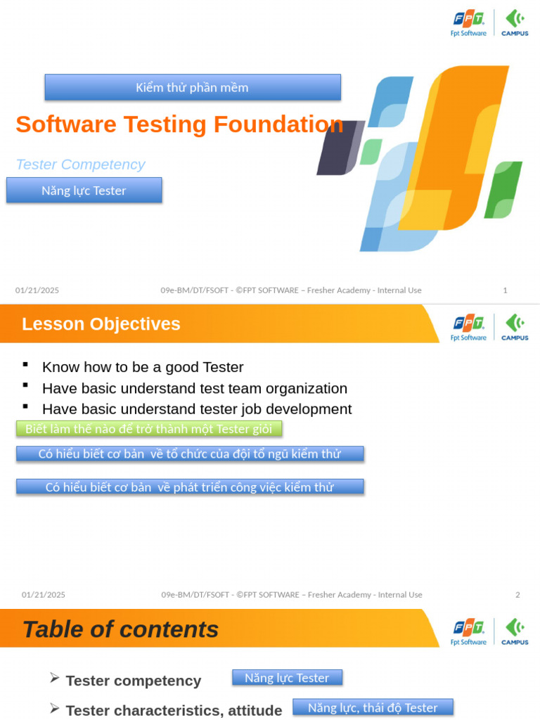 Software Testing Foundation: Kiểm thử phần mềm | PDF