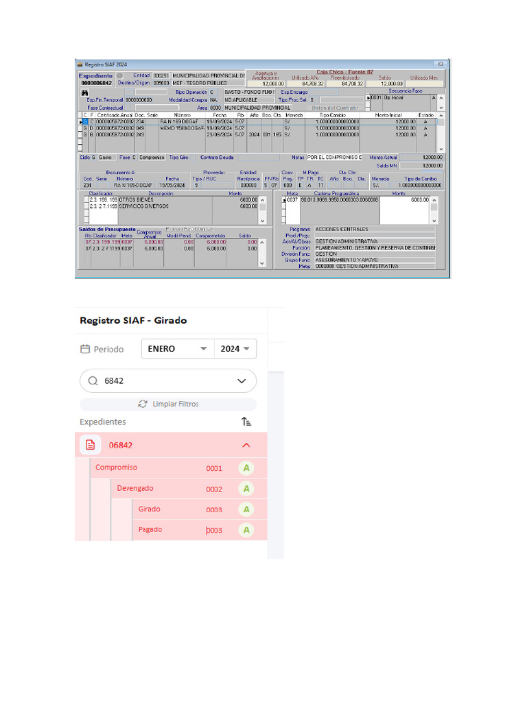 Pantallazo 2025 | PDF