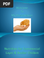 Hisex Brown Layer Management Guide | PDF | Selective Breeding | Chicken