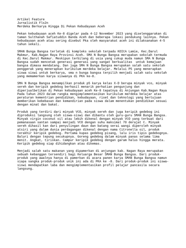 Artikel Feature FLS2N | PDF